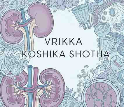 D'vakaso | comprehensive platform which places its focus on providing ...