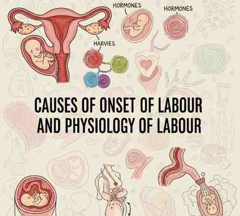 D'vakaso | comprehensive platform which places its focus on providing ...