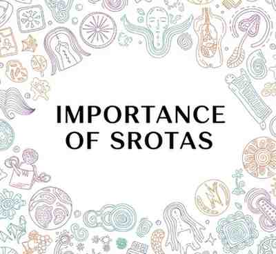 D'vakaso | comprehensive platform which places its focus on providing ...