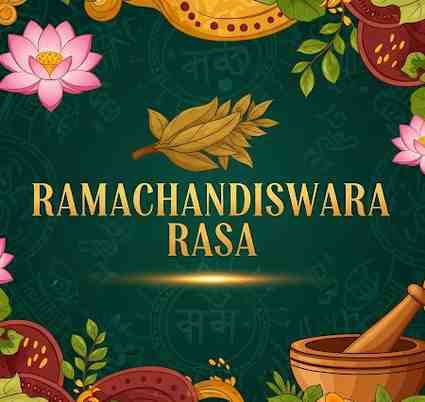 D'vakaso | comprehensive platform which places its focus on providing ...