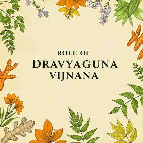 D'vakaso | comprehensive platform which places its focus on providing ...